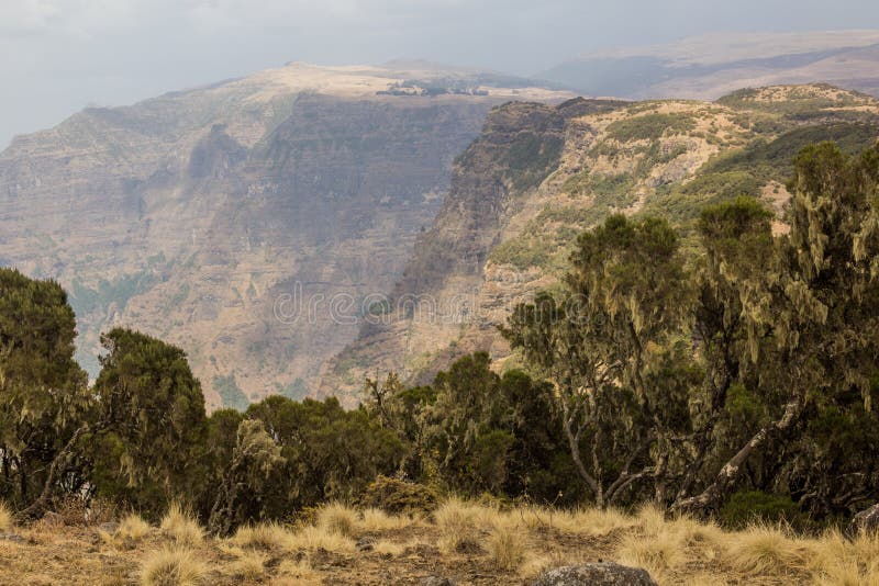Landscape of Simien Mountains Editorial Stock Photo - Image of rock ...