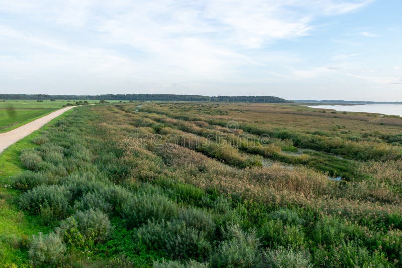 Landscape with a Simple Dirt Road Along the Lake Shore Stock Image ...