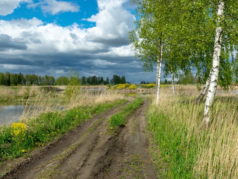 A Simple Dirt Road, Clay New and Old Grass, Spring Landscape Stock ...