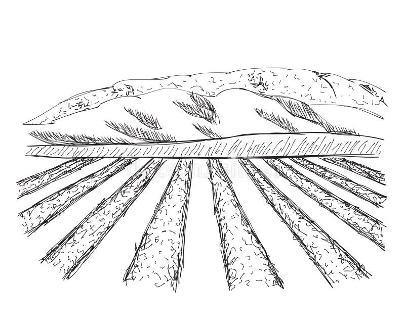 Landscape sketch drawing stock vector. Illustration of painted - 64726598