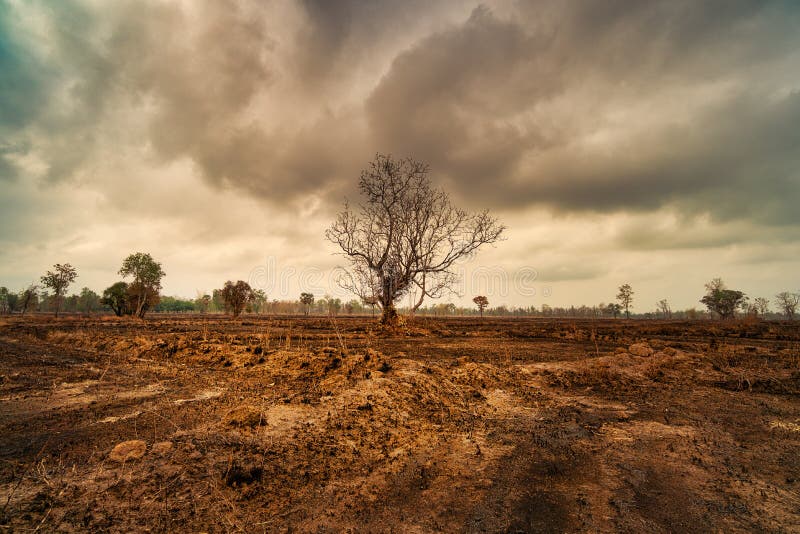 Landscape after Slash and Burn Stock Photo - Image of dramatic, nature ...