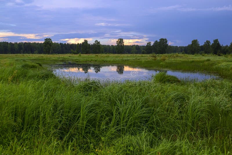 Landscape with a Small Lake, Effect Stock Photo - Image of travel ...