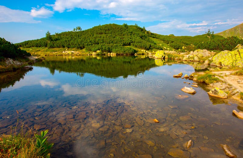 Small lake stock image. Image of fresh, reed, beauty - 14767077