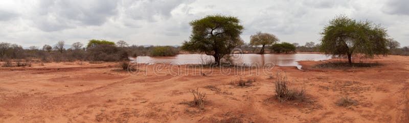 Landscape with a Small Lake in the Savannah Stock Photo - Image of ...