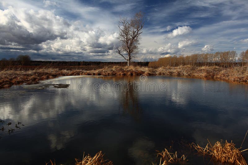 Landscape with small pond stock photo. Image of orange - 61388038