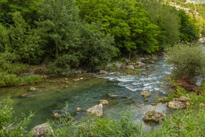 Small river with rocks. stock photo. Image of beautiful - 121563026