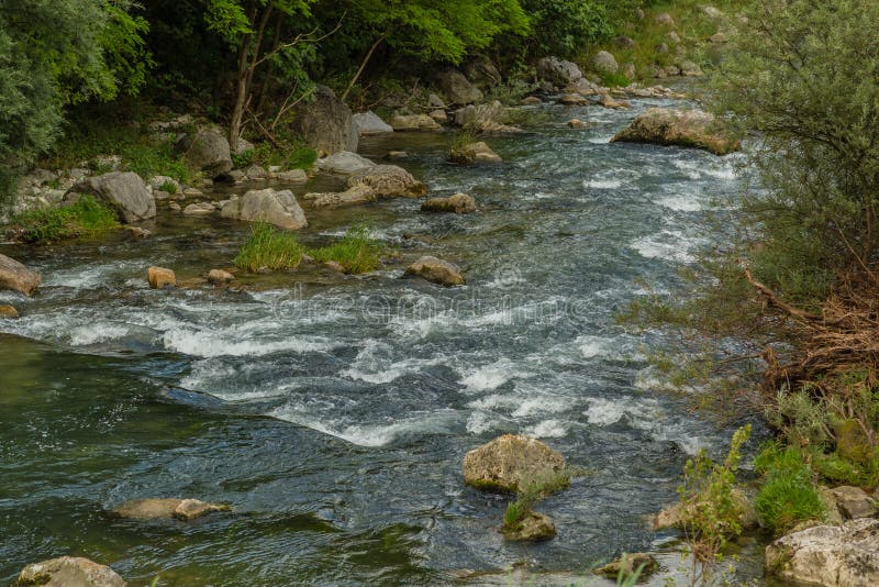 Small river with rocks. stock image. Image of forest - 121563035