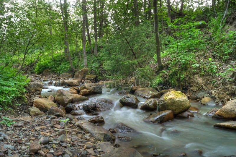 Rapid Stream. stock image. Image of wild, stone, bush - 119432653