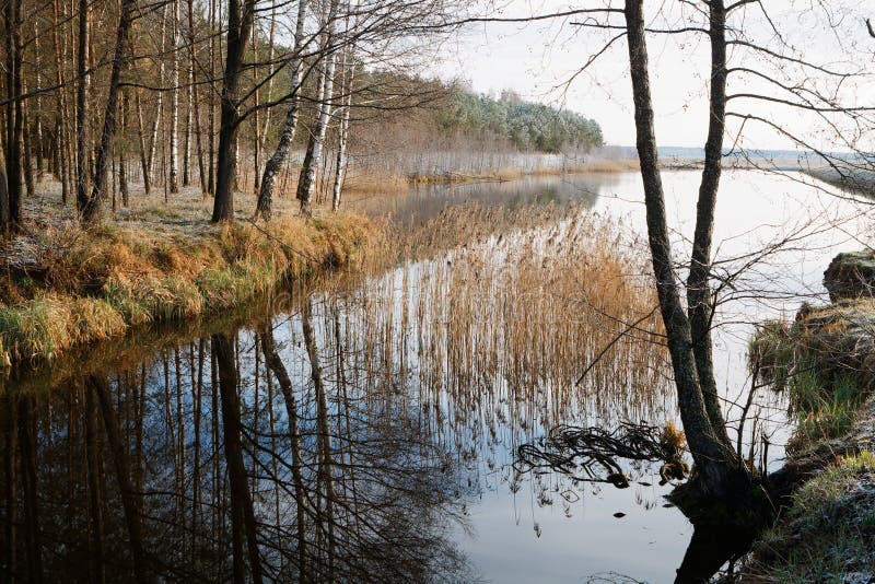 Landscape with a Small Wild River, River Banks Covered with Dry, Old ...