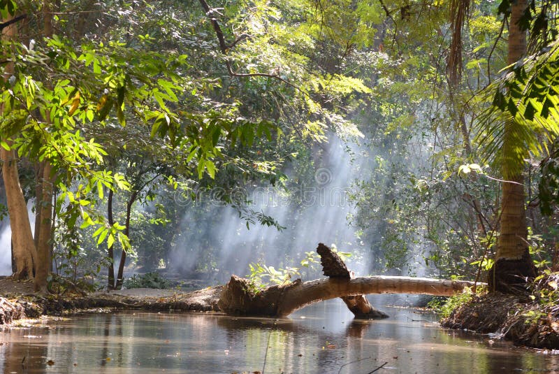 Landscape with smoke stock photo. Image of fluid, environment - 50258658