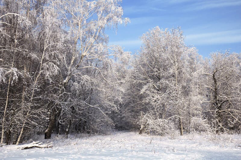 Landscape in Snow Against Blue Sky. Winter Scene. Stock Photo - Image ...