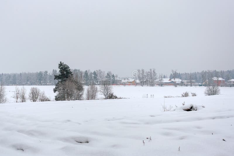 The Landscape is Snow-covered Field on a Cloudy Winter Day Stock Photo ...