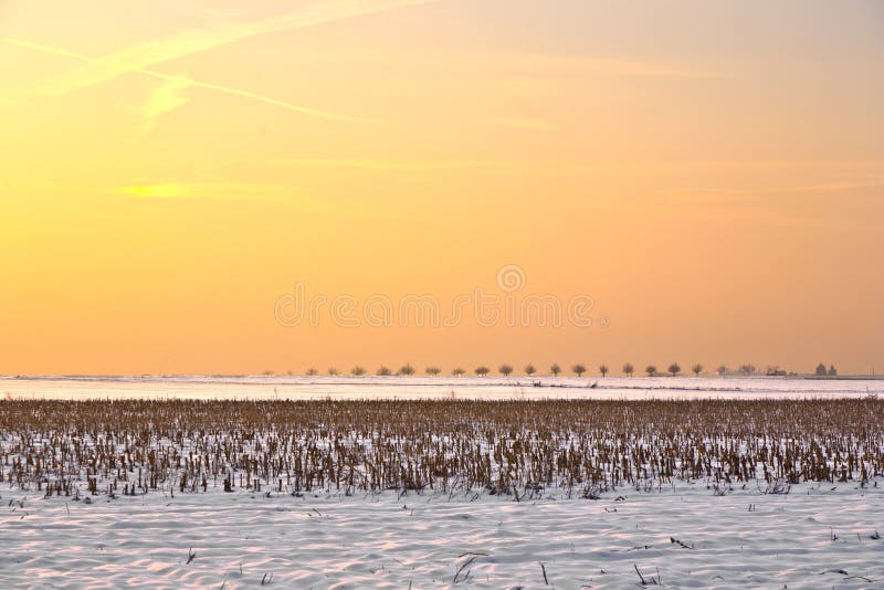Landscape with Snow Covered Fields Stock Photo - Image of frozen ...