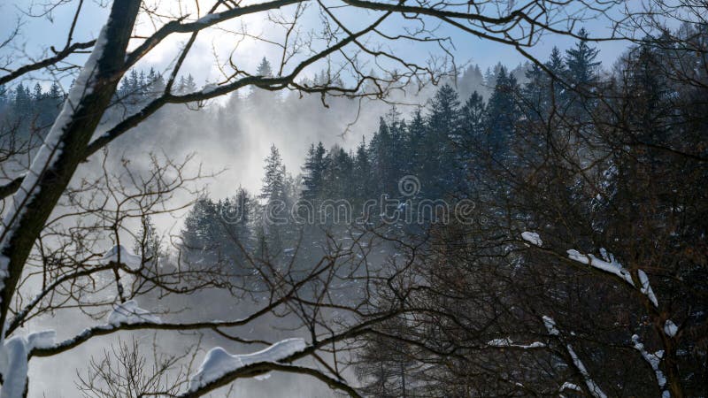 Landscape of Snow Falling on Forest at Mountains. Winter Landscape ...