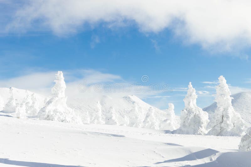 Landscape of Snow Mountain with Snow Covered Tree Stock Image - Image ...