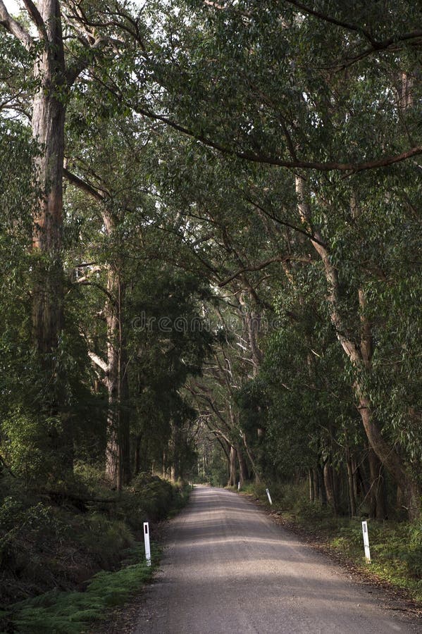 Landscape from Southern Highlands NSW Stock Image - Image of green ...