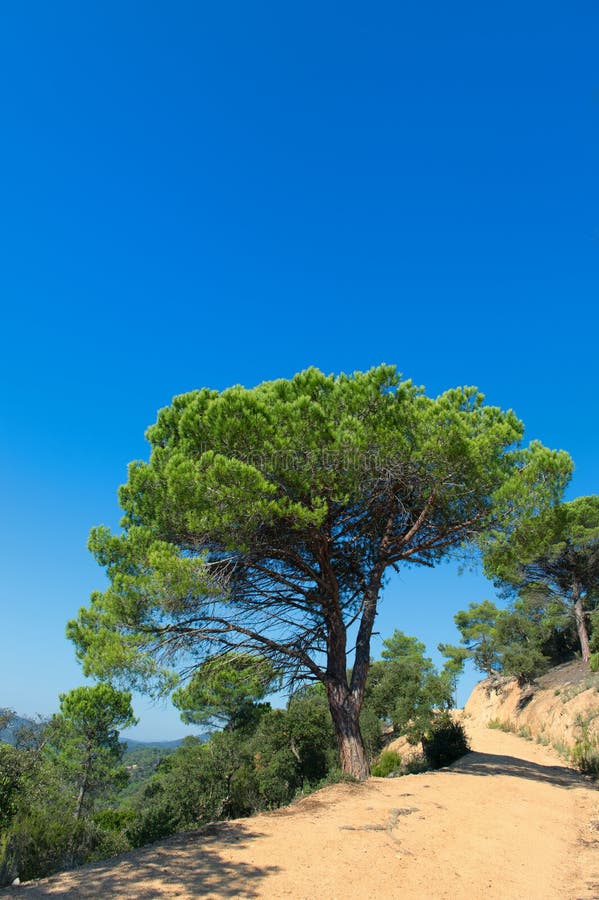 Landscape in Spain stock image. Image of nature, spain - 98755163