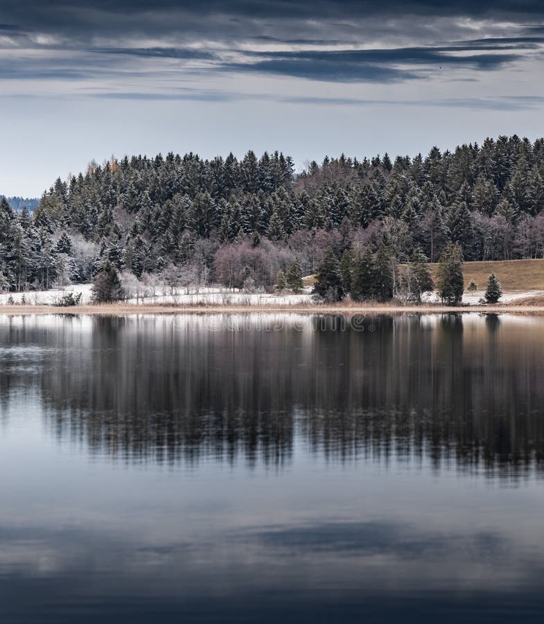 Landscape of a Specular Reflection in the Lake, a Dry Grass, a Cane and ...