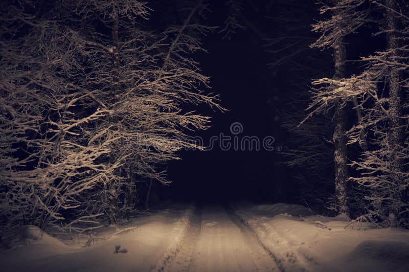 Landscape of Spooky Winter Forest Covered by Snow Stock Image - Image ...