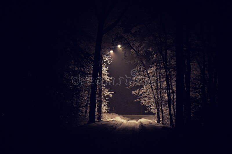 Landscape of Spooky Winter Forest Covered by Snow Stock Photo - Image ...