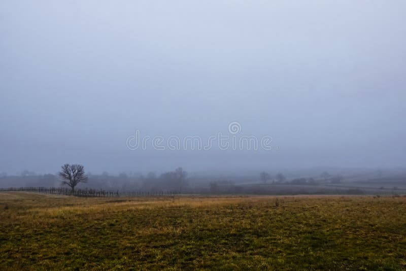 Landscape in Spring with Dense Fog on the Ground and Sky Stock Photo ...