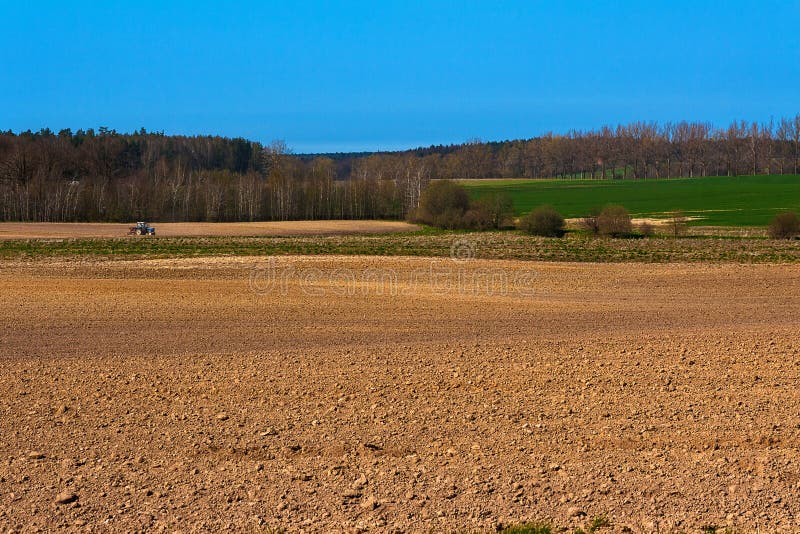 Landscape Spring Field Polish Stock Image - Image of polish, poland ...