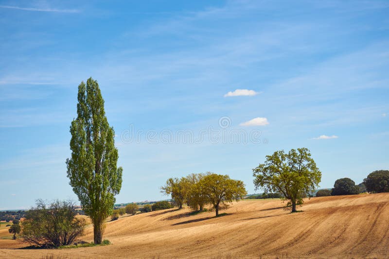 Landscape in Spring with Fields Full of Brown and Green Colors Stock ...