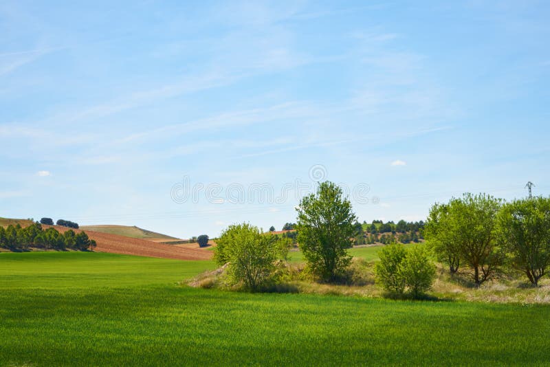 Landscape in Spring with Fields Full of Brown and Green Colors Stock ...