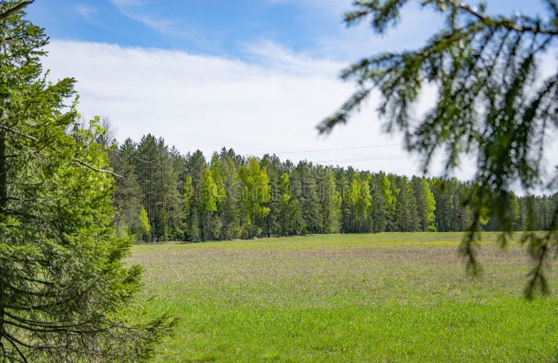 Spring, Nature, Spring Forest, Fields, Lakes and Rivers. Stock Image ...