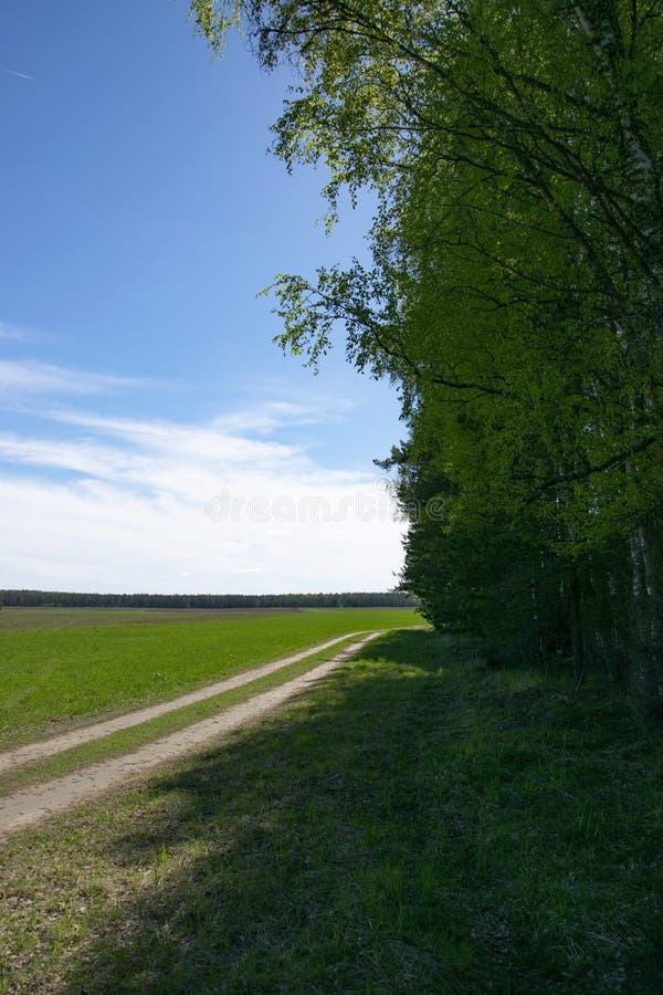 Spring, Nature, Spring Forest, Fields, Lakes and Rivers. Stock Image ...