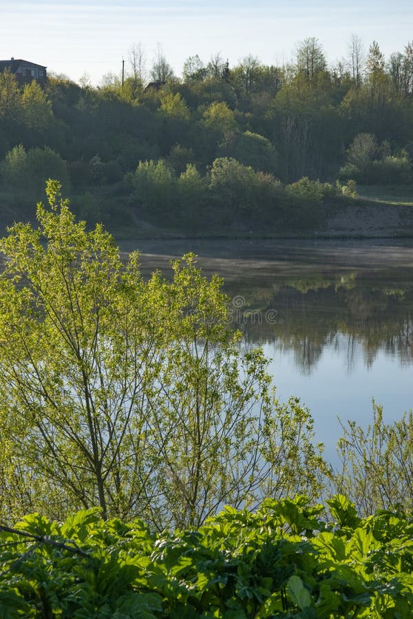 Spring, Nature, Spring Forest, Fields, Lakes and Rivers. Stock Image ...