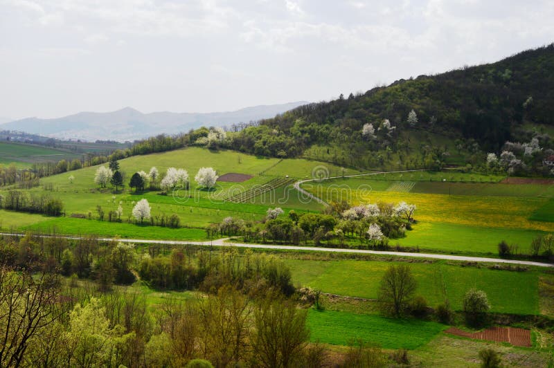 Landscape in the spring stock photo. Image of nature - 114805944