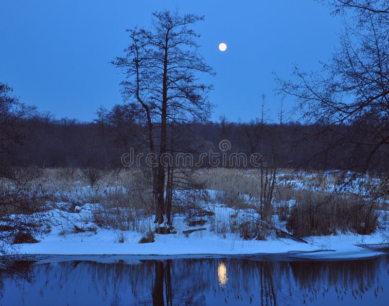 Landscape of Spring, Night Forest,river. Full Moon in the Wood ... Landscape of Spring, Night Forest,river. Full Moon in the Wood ...