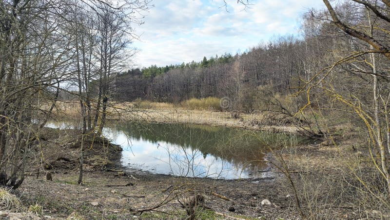 Landscape of Spring River Fields Stock Image - Image of water, field ...