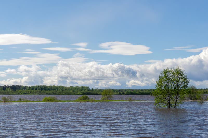Spring River during High Water Stock Photo - Image of nature, high ...