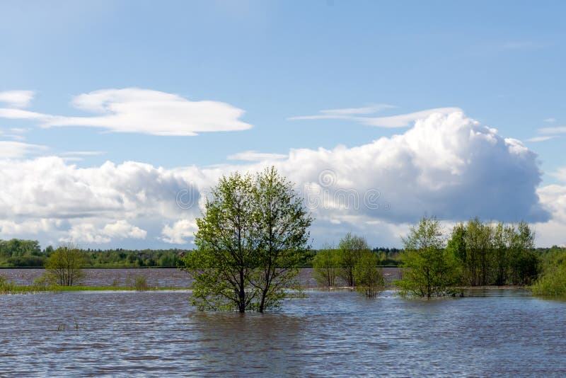Spring River during High Water Stock Image - Image of river, reflection ...