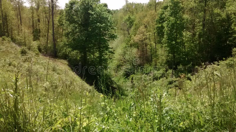 Landscape stock photo. Image of woodland, forest, ohio - 71534890