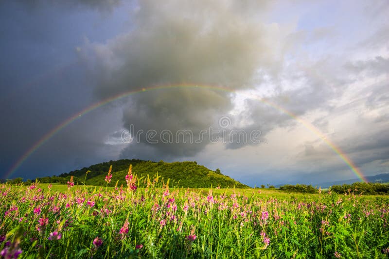 Landscape at the Springtime and Beautiful Rainbow Stock Image - Image ...