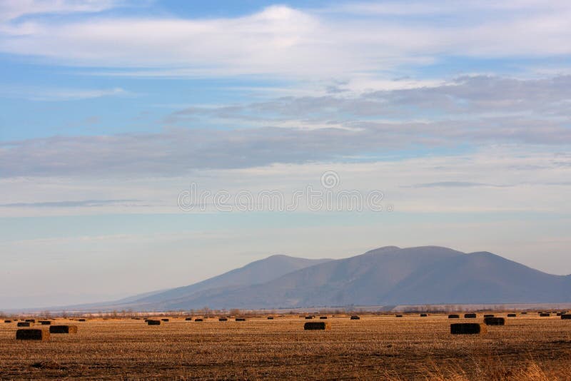 Landscape with Square Hay Bales in the Field Stock Photo - Image of ...