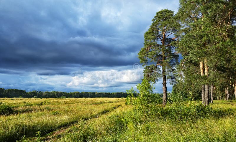 Landscape Storm Clouds at Sunset in the Forest Stock Photo - Image of ...