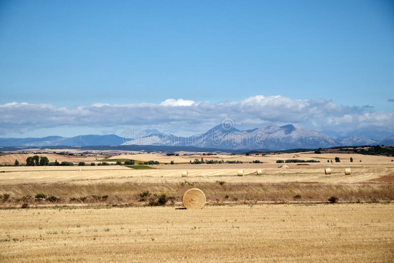 Landscape of a Straw Field with Mountains in the Background Stock Image ...