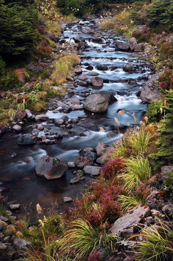 Landscape of stream stock photo. Image of diagonal, beautiful - 8077920