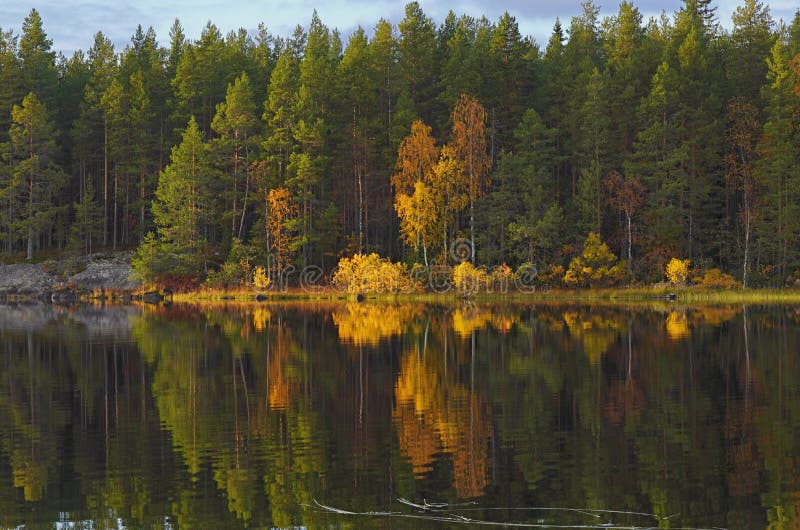 The Landscape Stretches Beyond the River.Beautiful Autumn Forest Stock ...