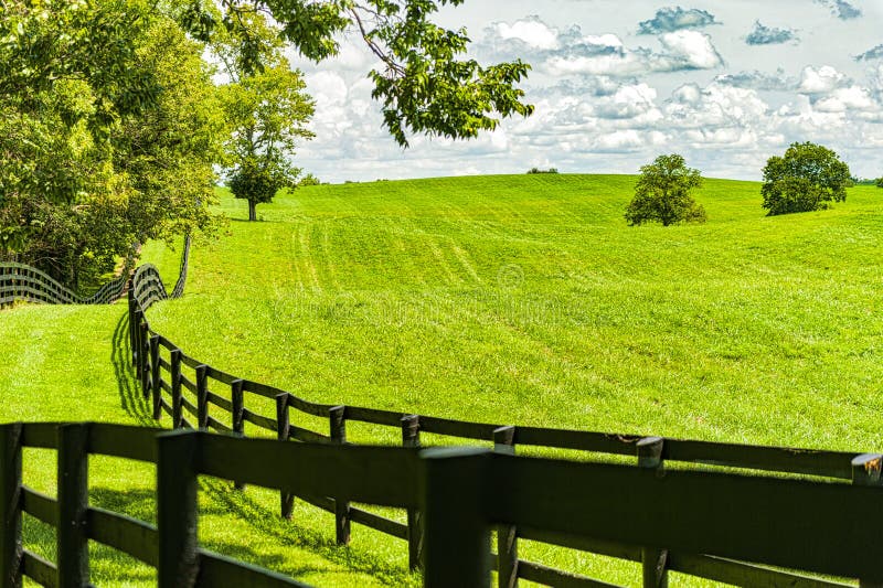 Landscape on a summer day stock photo. Image of fences - 189335172