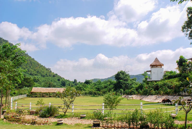 Landscape in summertime stock photo. Image of fields - 101156264