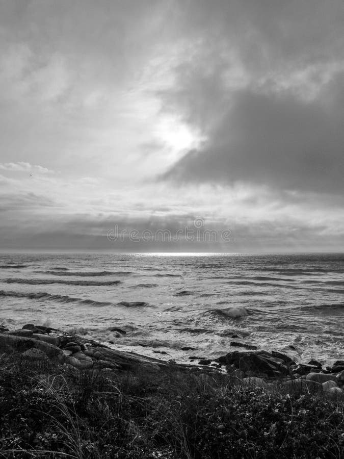 Landscape of sun rays stock image. Image of growth, abstract - 259256803