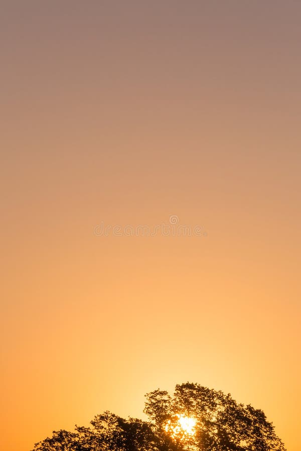 Landscape with Sun Rising Behind Tree Stock Image - Image of gradient ...