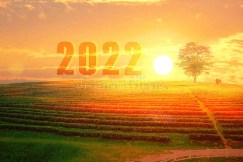 Landscape Sun Set or Sun Rise with Illustrater 2022 New Year Concept ...