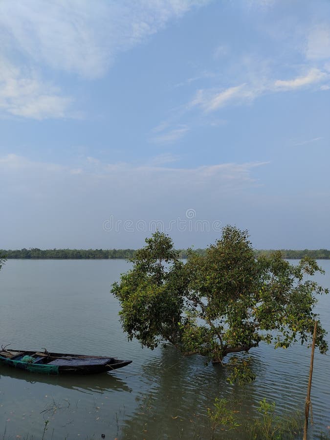 Landscape of Sundarban, a Mangrove Forest Area of the Eastern Part of ...