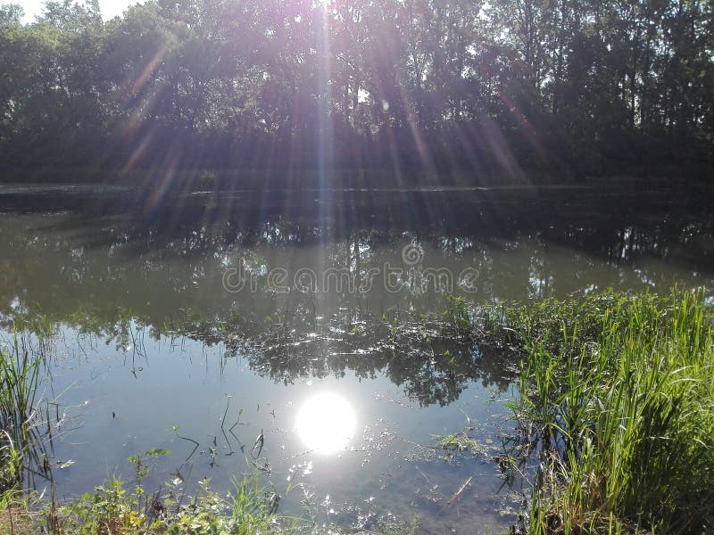 Landscape with sunlight stock photo. Image of green - 113401798